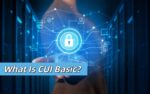 What Is CUI Basic? A Quick Overview for Government Contractors ...